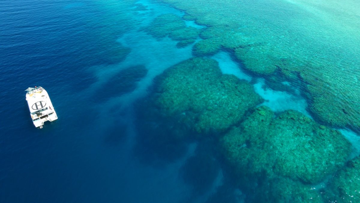 ROWLEY SHOALS TOURS | Fish, Dive & Snorkel the Rowley Shoals