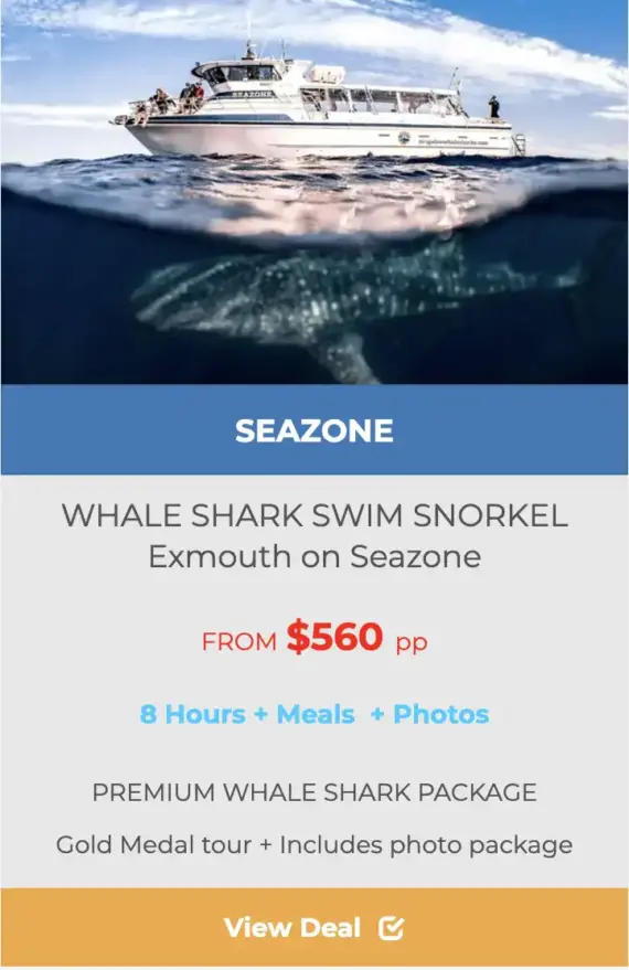 EXMOUTH WHALE SHARK TOURS 2021 - Swim Snorkel Whale Sharks